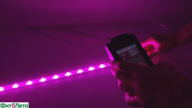 Светильник для растений влагозащищенный Uniel ULZ-P08-14W/SPBR IP65 CLEAR UL-00011217