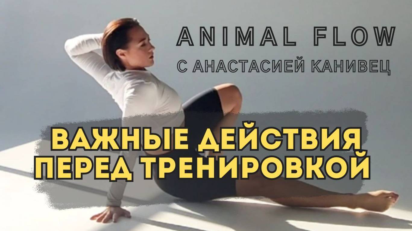 1 И 2 КОМПОНЕНТ AF