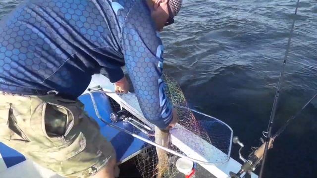 Сегодня на реке, сильная волна. Но мы ловим