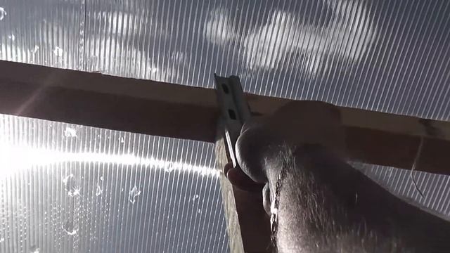 Рецепт барбекю из грудинки и красивый птенец скворца.