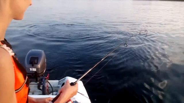 Жерех на Волге.  Волгоградская рыбалка