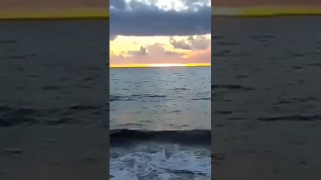 Шахматная королева #shortsvideo  #василисаголд #videos #карма #осознанность #смыслы #деньги