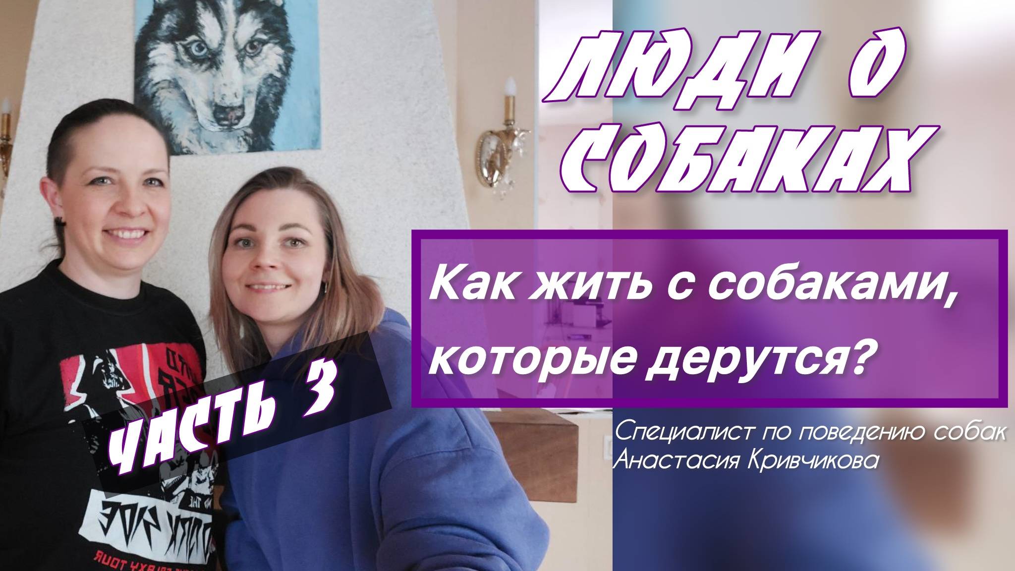 Собаки дерутся или о чем говорят собаки? | 3 часть интервью с Анастасией Кривчиковой
