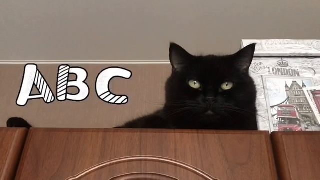 Артикли в английском - a или the (часть 2 / part 2)