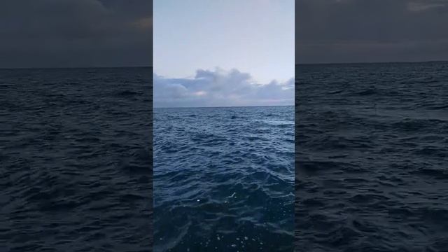 Море #василисаголд #мурашки #стихияводы #расслабление #шортс #море #волны #слушать #голд