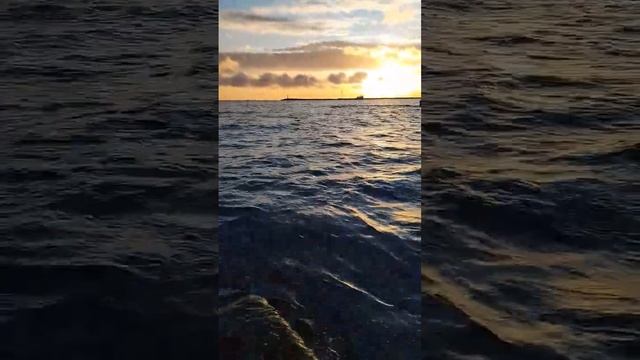 Море #василисаголд #мурашки #стихияводы #закатнаморе #шортс #море #волны #слушать #голд