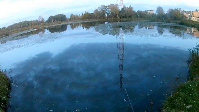 Рыбалка. Износки ( Калужская область ). Провел полчаса на пруду. Одну щуку все таки взял