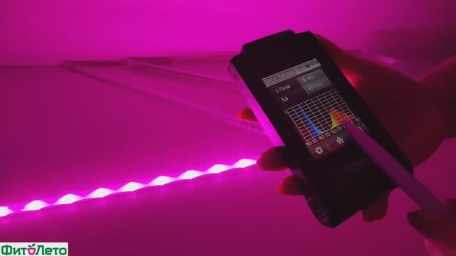 Светильник для растений влагозащищенный Uniel ULZ-P07-10W/SPBR IP65 CLEAR UL-00011216