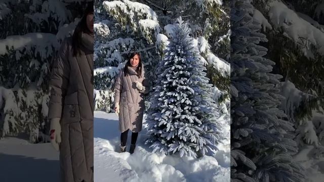 Камчатская заснеженная обзор