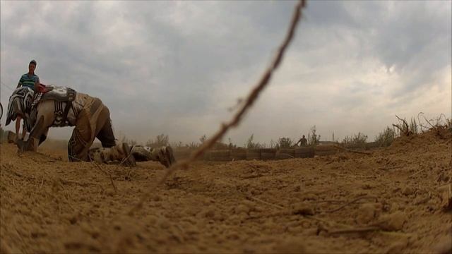 Мотокросс - Дубна 10.08.2014