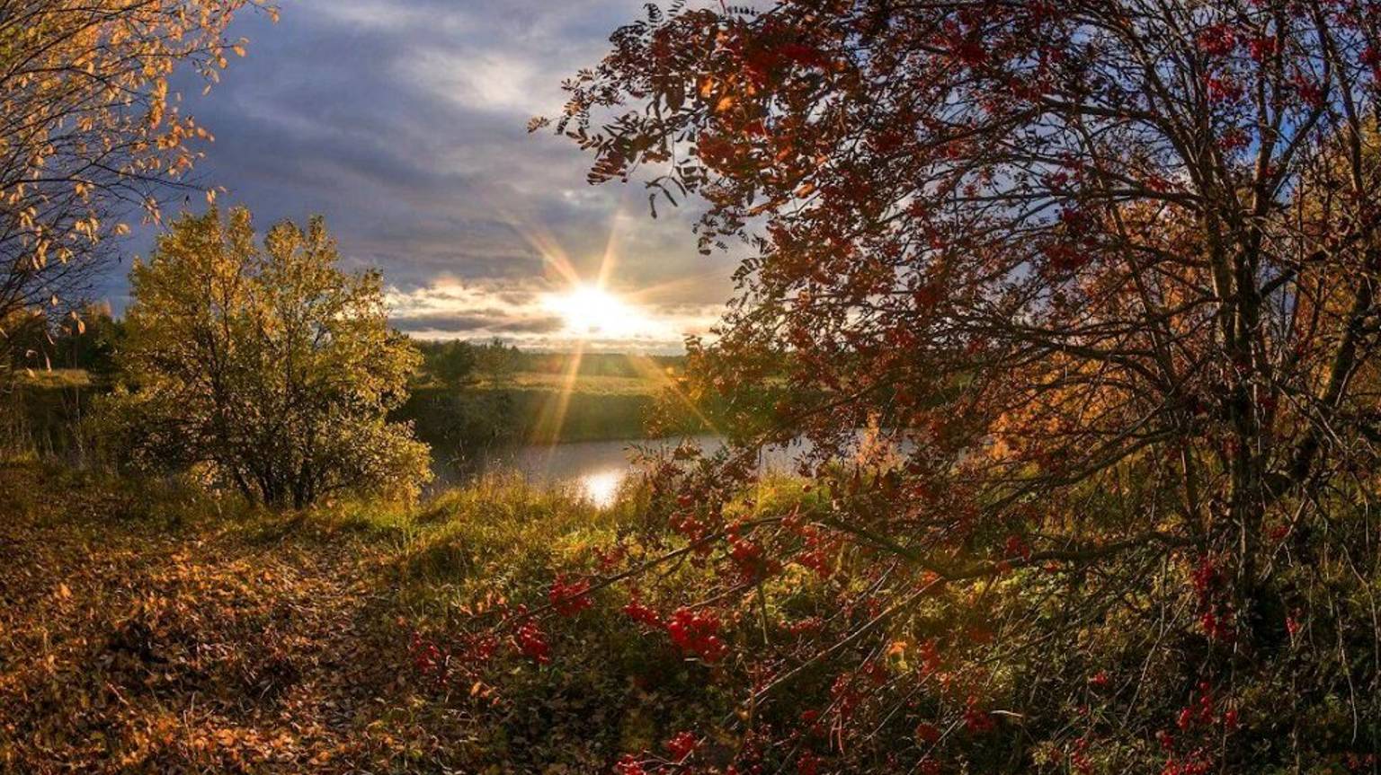 Иван Бунин: "ОКТЯБРЬСКИЙ РАССВЕТ" Музыка, исполнение Елены Артёменко. Запись — 1995 год.