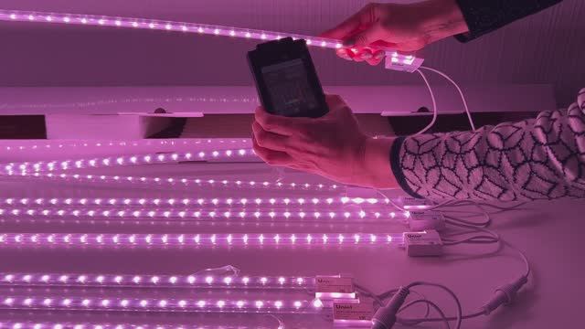 Светильник для растений Uniel влагозащищенный ULY-P91-20W/SPFR/K IP65 AC220V CLEAR KIT03 UL-00003851