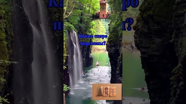 Как в скором времени поменяется жизнь? Экспресс-гадание