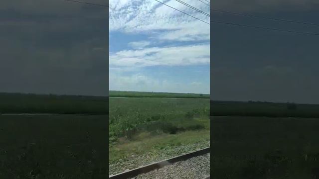 В поезде на Абхазию. #shorts