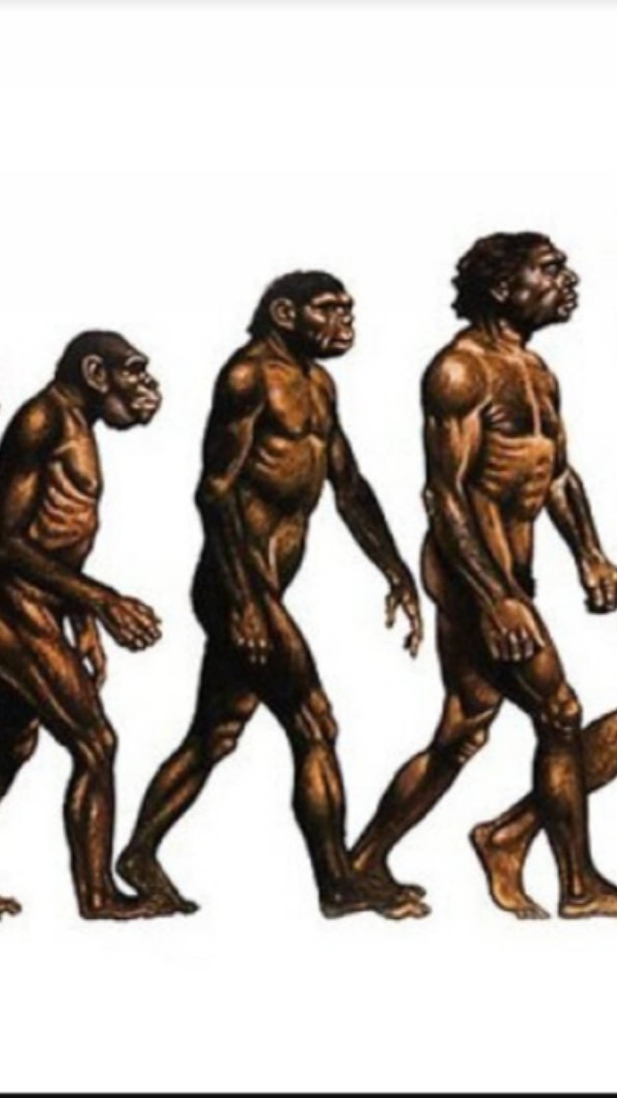 Дарвина оклеветали в 20 веке.