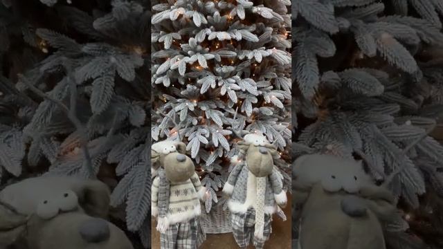 Елочка Камчатская. #елкановогодняя #новыйгод #елочка #праздник #ёлка #ель #топ  #реки