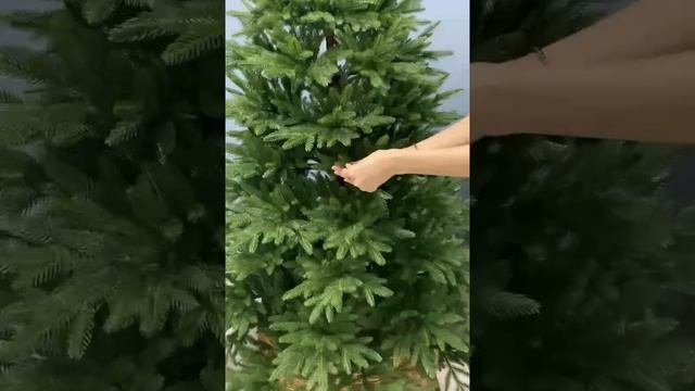 Краснодарская обзор