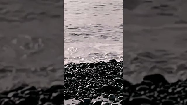 Подсказка ее прошлого воплощения в теле Волка 2 #дух #волк #shorts #story #shots_video #василисаголд