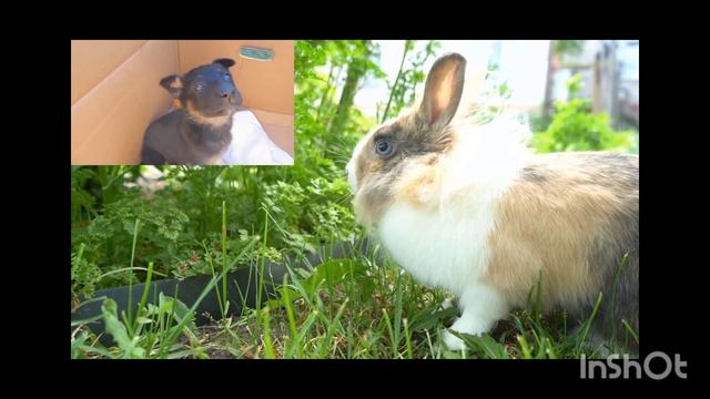 прикол🥴🤣😹