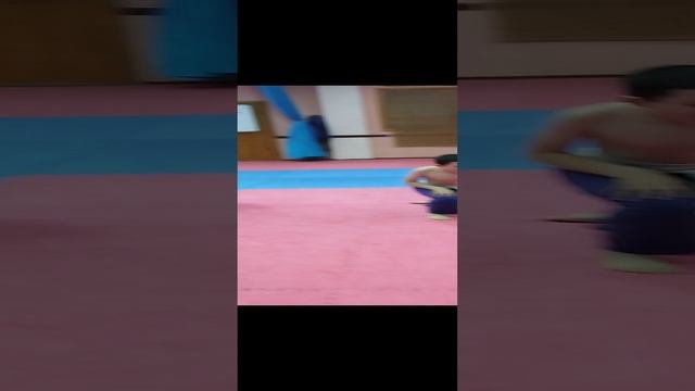 Футбол на лошадях