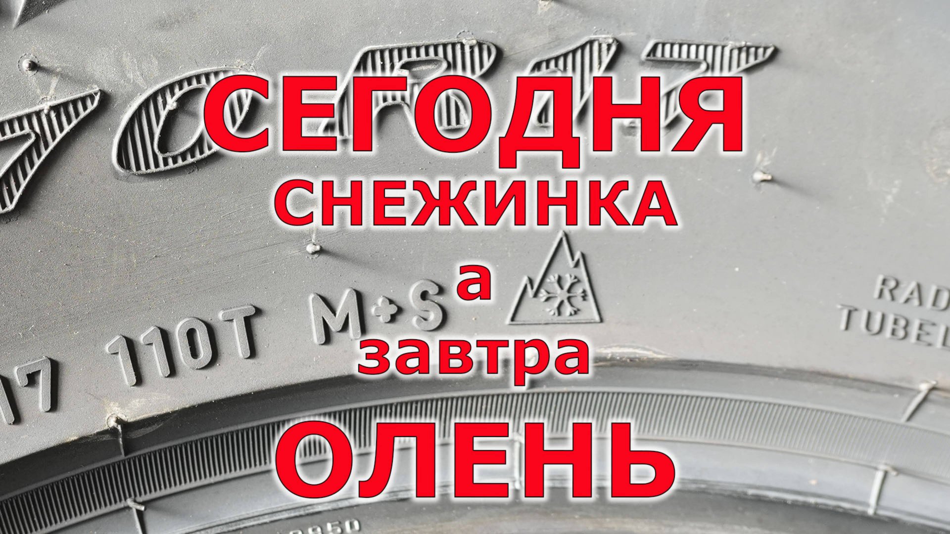Выкинул почти новые покрышки. Запретили зимнюю резину
