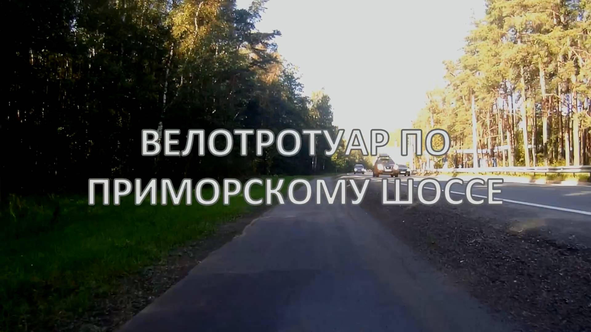 Велотротуар по Приморскому шоссе