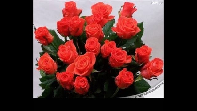 С днём рождения