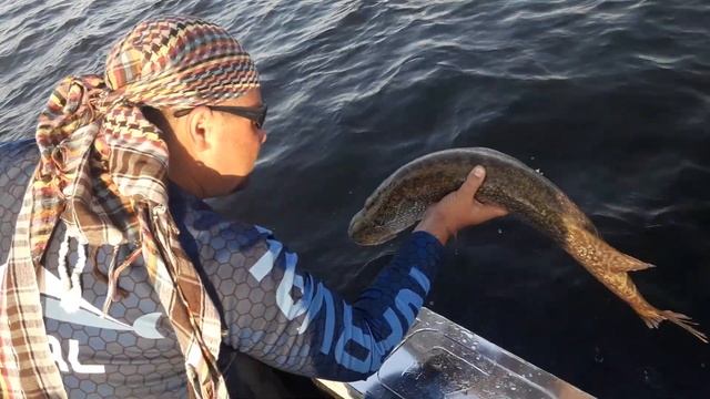 Продолжаем ловить. А вот и бабушка. Кто кого умотал это еще вопрос...