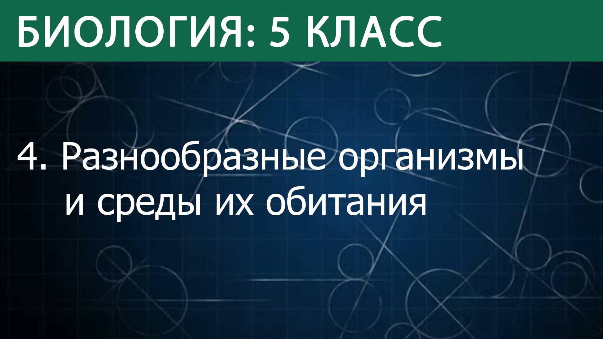 Биология 5 класс: Разнообразные организмы и среды их обитания