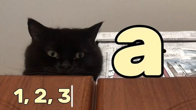 Определенный артикль a и неопределенный артикль the - как правильно использовать (часть1 / part1)