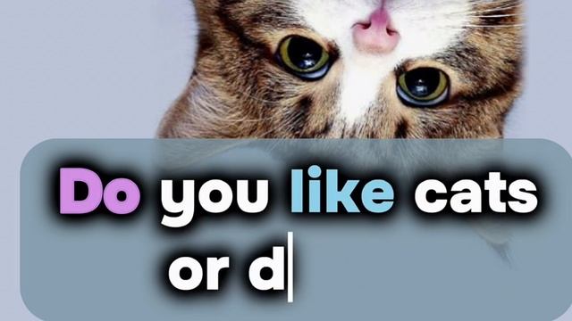 Альтернативные вопросы (Alternative questions)