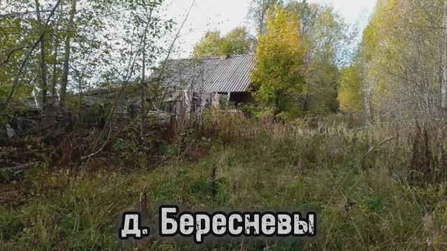 Деревня Бересневы.mp4