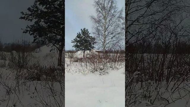 Батарея Демидова часть 2. #Shorts