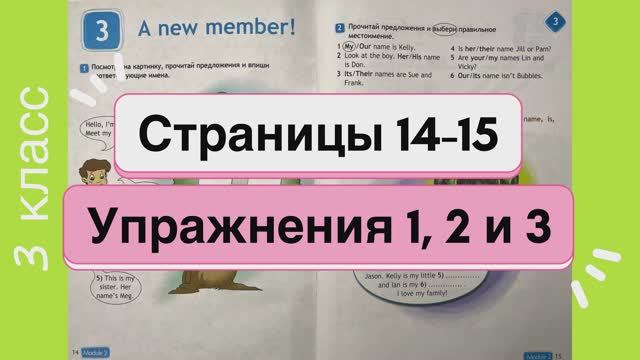Английский 3 класс. Рабочая тетрадь Spotlight 3. Страницы 14-15. Упражнения 1, 2 и 3