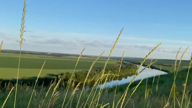 Вид на реку Тихий Дон высота 50 метров село Донская Негачевка