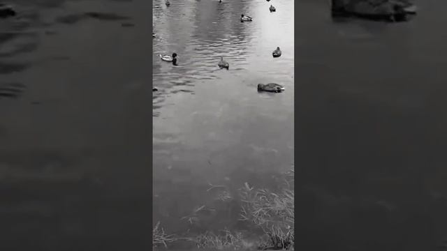 Буллинг. Невидимое давление #video   #виктимность #буллинг #зло #videos