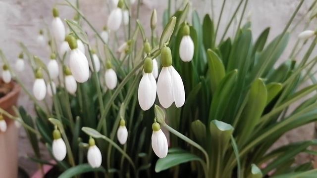 Отзвуки Дня рождения... 16.02.2023.