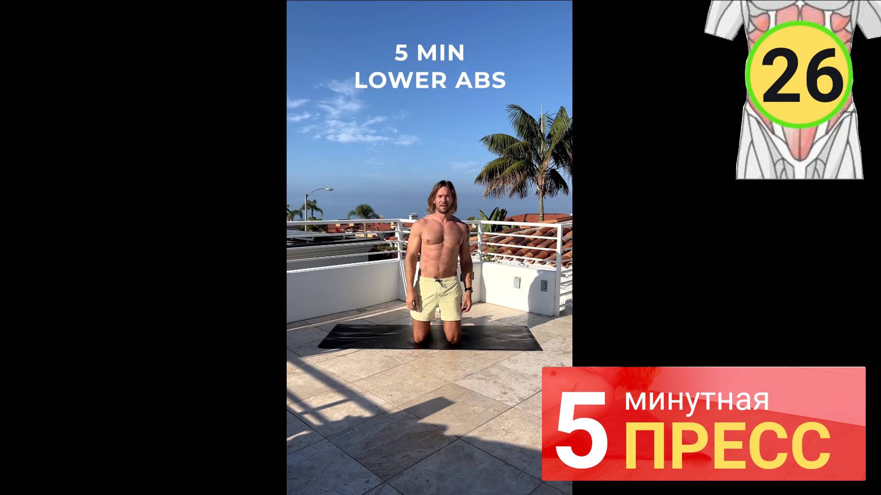 26 | 5 минутная тренировка пресса | Нижний пресс