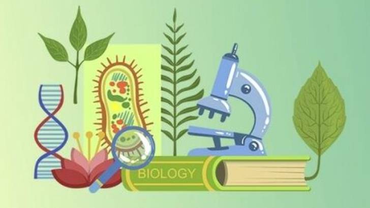 Биология 8 класс. Значение нервной системы. --