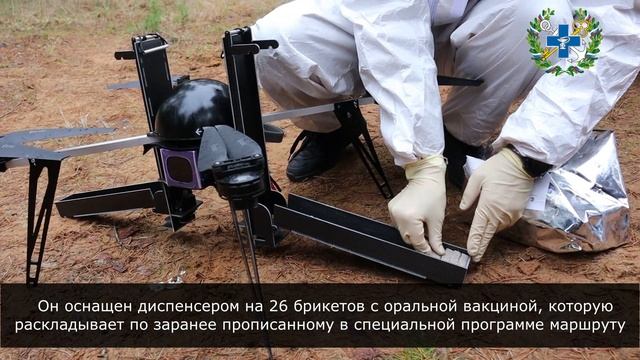 Раскладка антирабической вакцины в дикой фауне