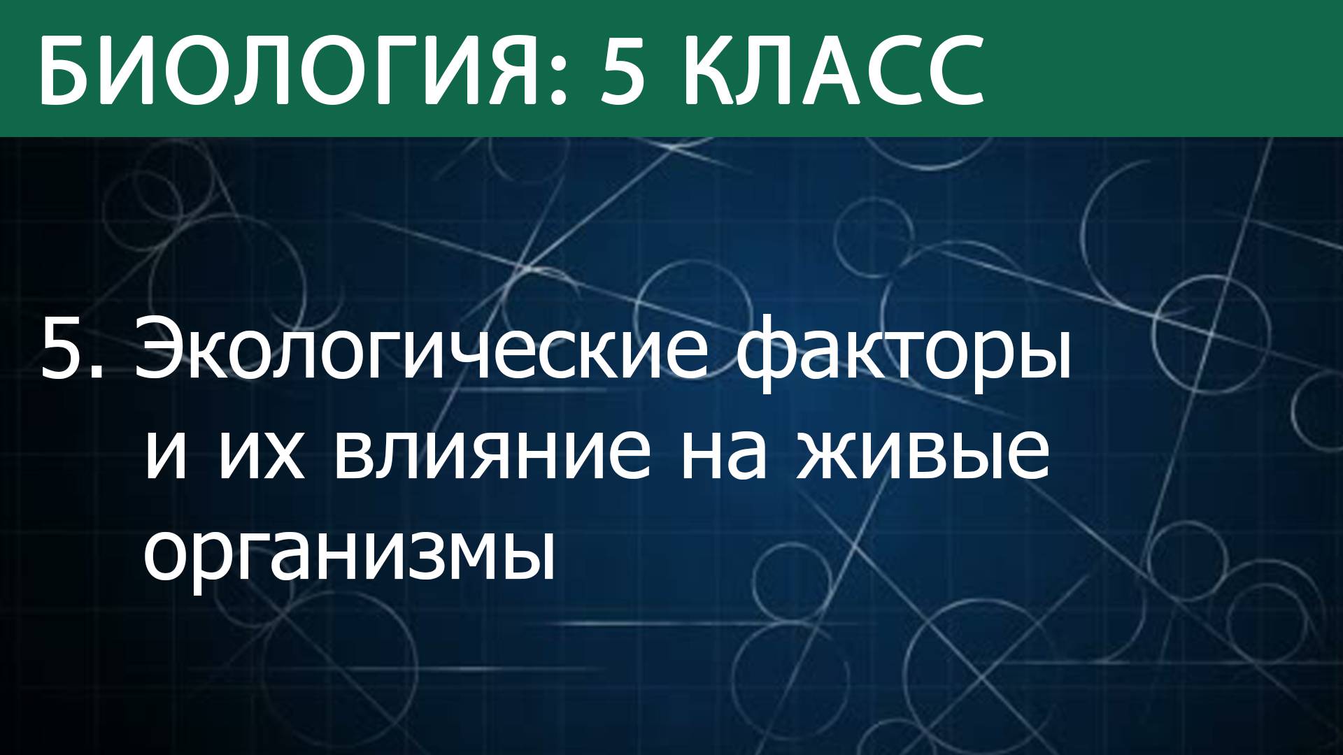 Биология 5 класс: Экологические факторы и их влияние на живые организмы