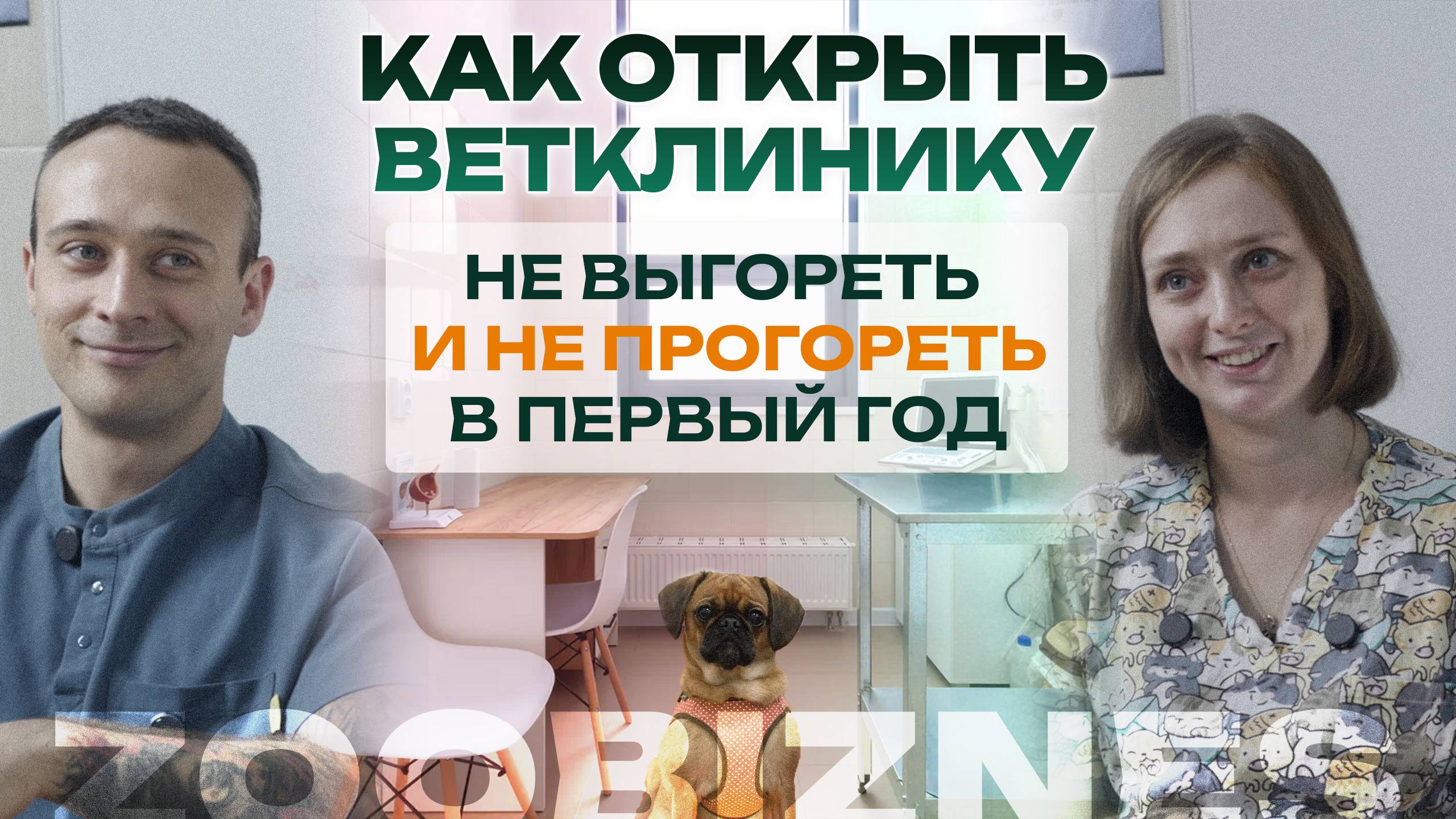 Ветеринарный бизнес 🐈 Как открыть ветклинику и не закрыть в первый год. Опыт владельца и главврача