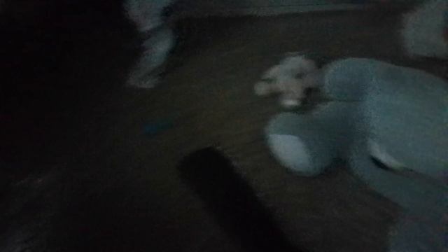 сериал плюшевые зомби апокалипсис 6 серия (побег из лаборатории)