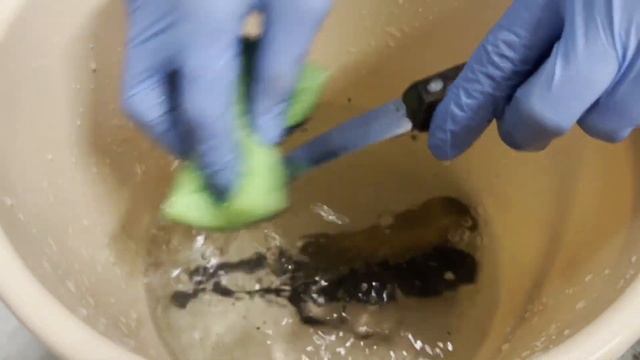 Дезинфекция оборудования для обрезки копыт