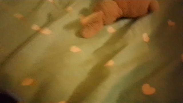 сериал плюшевый зомби апокалипсис 8 серия (начало войны в новом плюшевом народе)