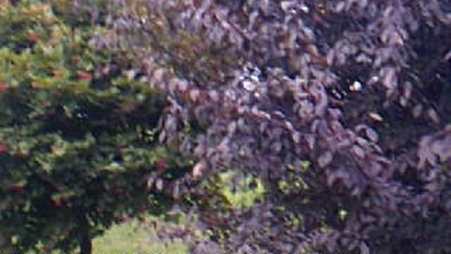 DSCF0005  ШИКАРНАЯ ЭКСКУРСИЯ ПО КАБАРДИНО-БАЛКАРСКОЙ РЕСПУБЛИКИ .