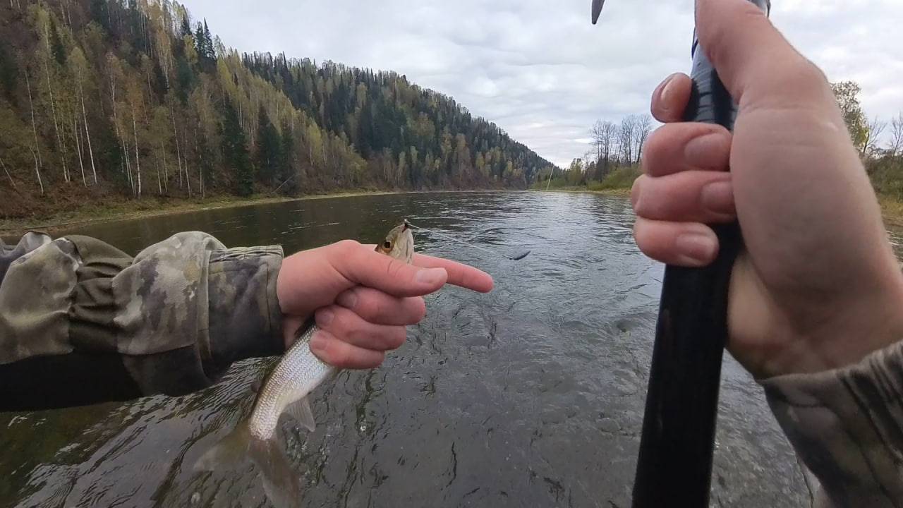 ЗАБРОДНАЯ РЫБАЛКА НА УДОЧКУ, ЛОВЛЯ ХАРИУСА р.ТОМЬ (НАКОНЕЦ-ТО НАЧИНАЕТСЯ КЛЕВ)