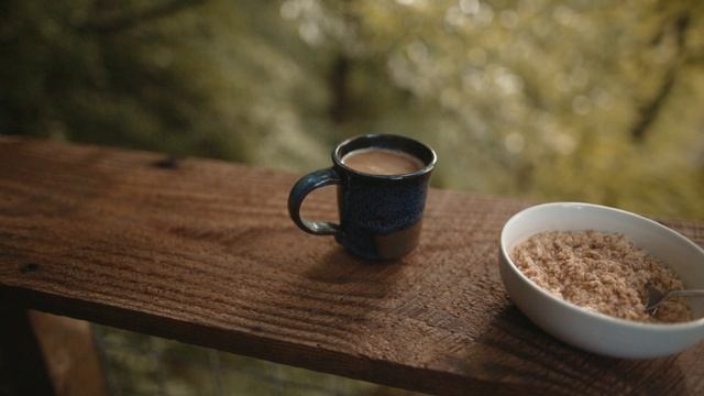 2869090-hd_1920_1080_24fps