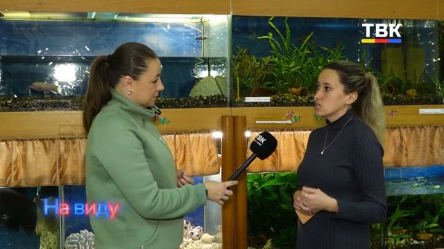 «На виду»: зачем нужны школьные музеи в Искитиме?