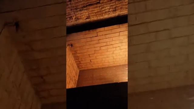 Инсинератор Агро-Альянс в работе